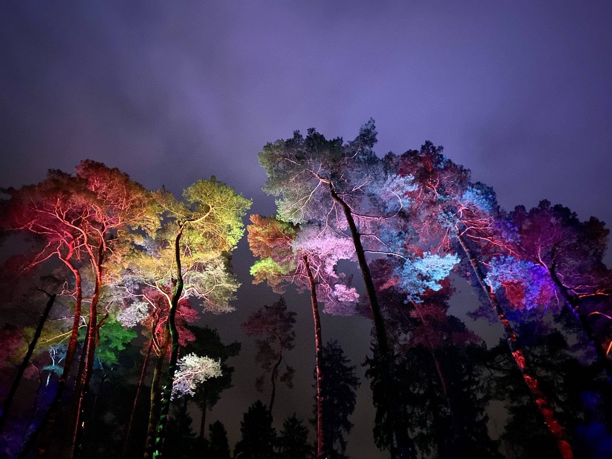 World of Lights